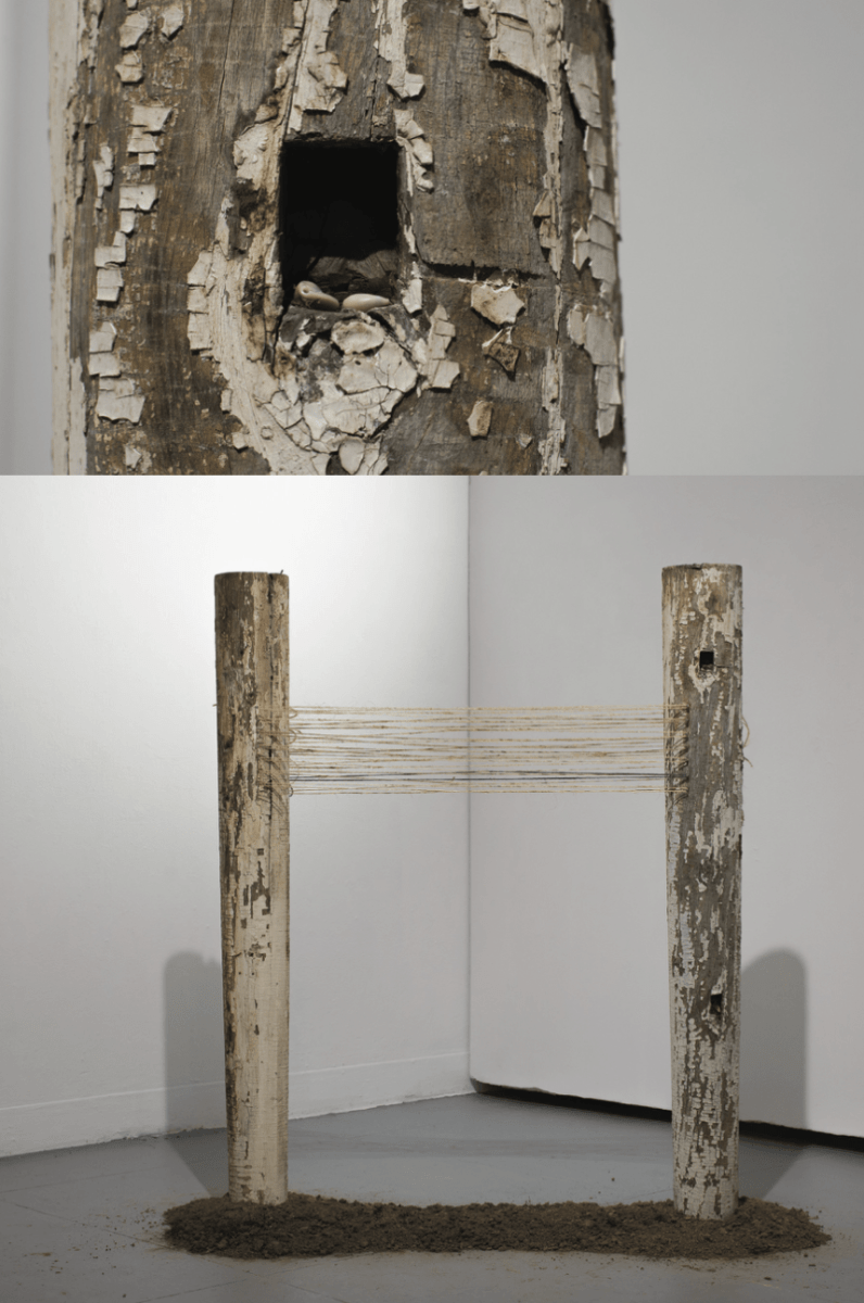 Visual Processes: Maya Howard-Watts – Wilder Voice Magazine